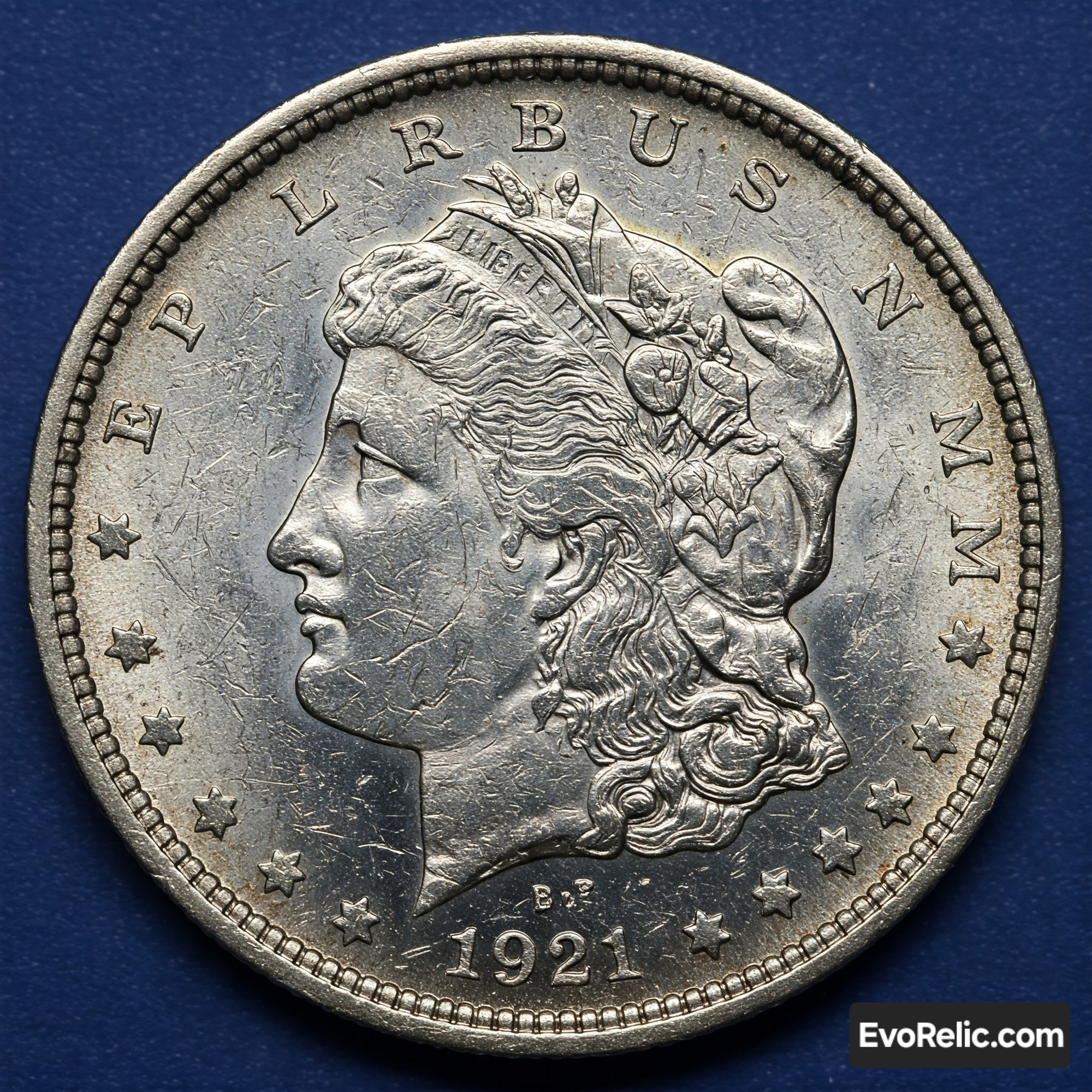 The Long-Term Value of Morgan and Walking Liberty Silver Coins – EvoRelic